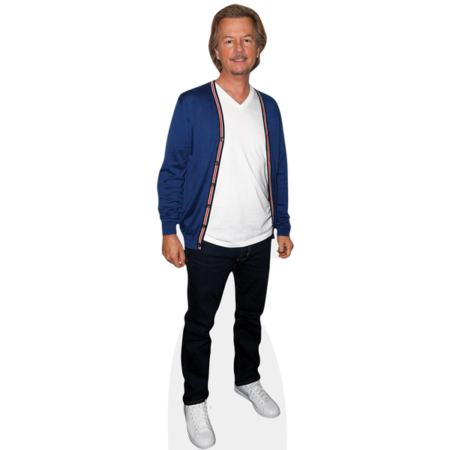 David Spade Celebrity Mask - Celebrity Cutouts