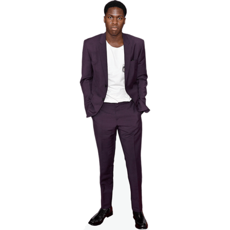 Daniel Caesar (Casual) Cardboard Cutout - Celebrity Cutouts
