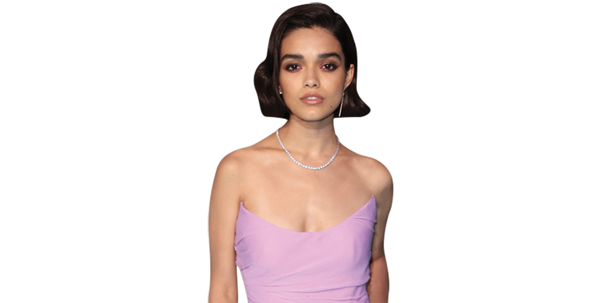 Rachel Zegler Pink Dress Half Body Buddy Celebrity Cutouts