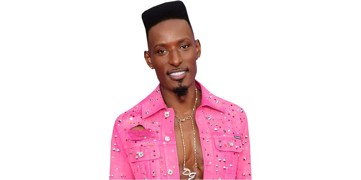 Dashaun Wesley (Pink) Half Body Buddy - Celebrity Cutouts