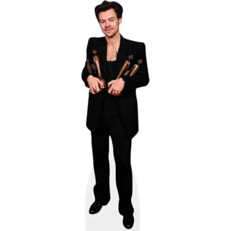 Harry Styles (Black Outfit) Cardboard Cutout - Celebrity Cutouts