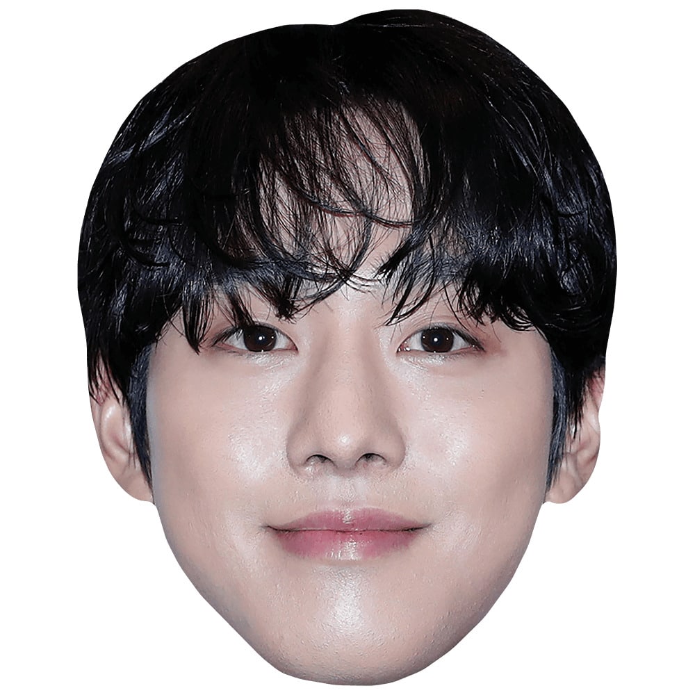 Ahn Hyo-Seop (Fringe) Mask - Celebrity Cutouts