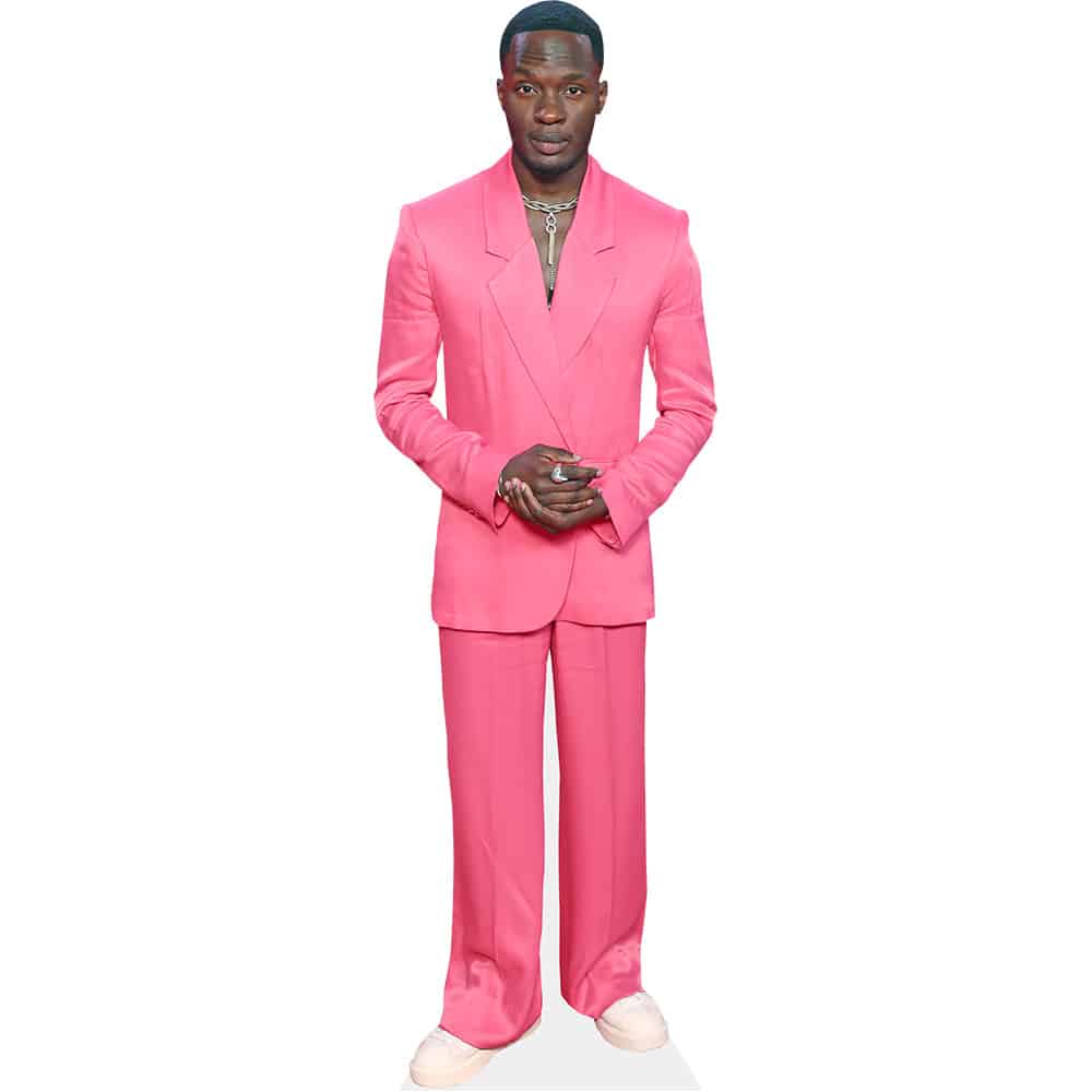 Ashley Byam (Pink Suit) Cardboard Cutout - Celebrity Cutouts