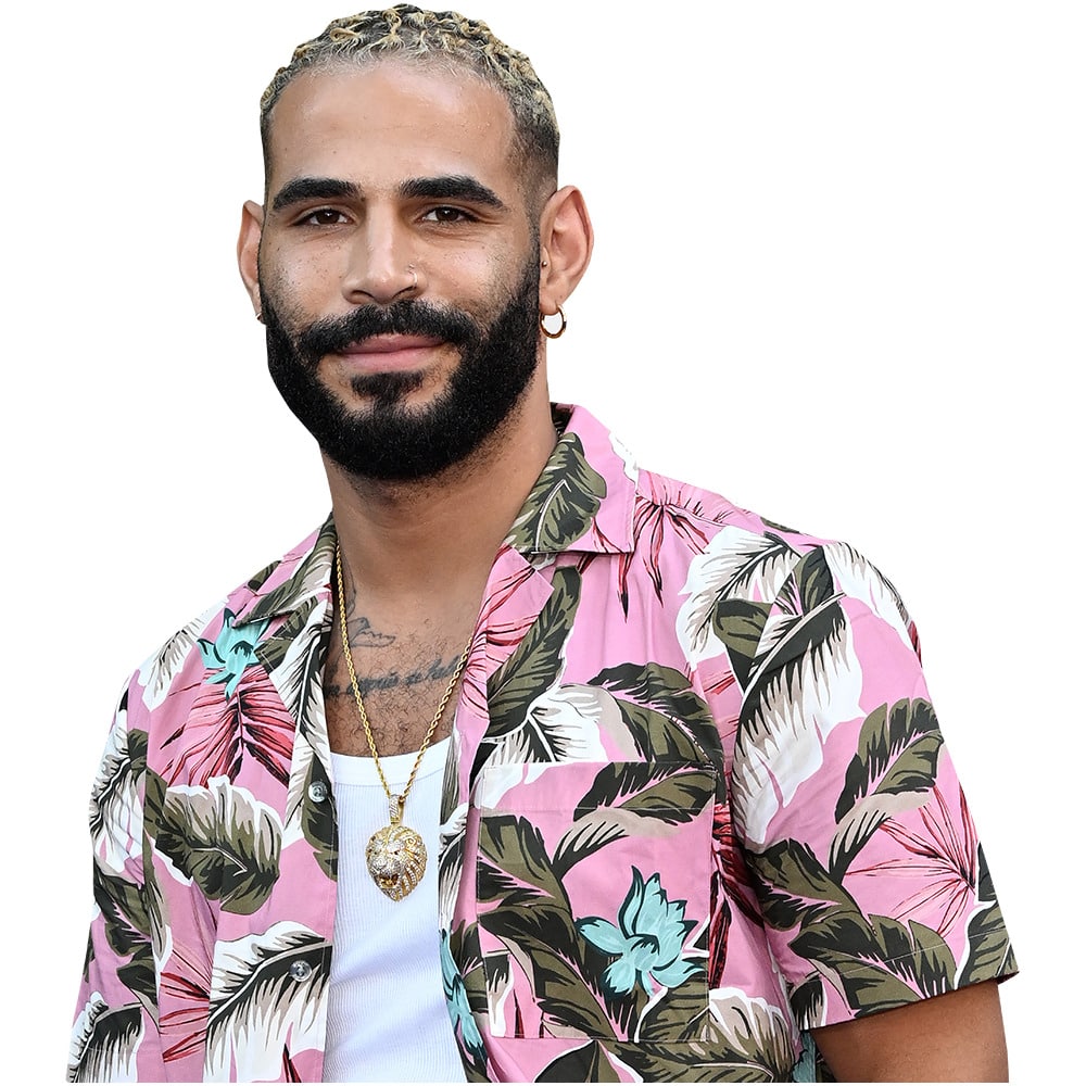 Sandro Farmhouse (Shirt) Half Body Buddy - Celebrity Cutouts